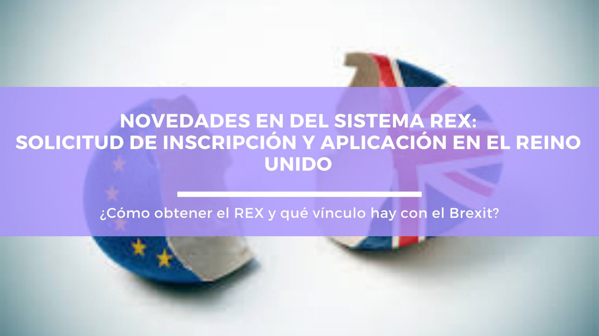 Registro de Exportadores (REX): ¿Cómo obtener el REX?¿Rex y Brexit ...
